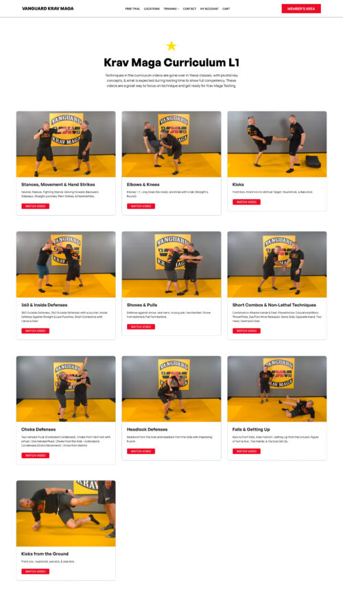 Online Krav Maga Classes - Vanguard Krav Maga